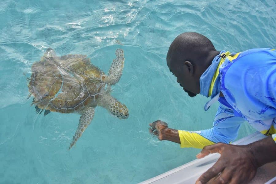 HARBOUR TOUR - Exuma Boat Tours